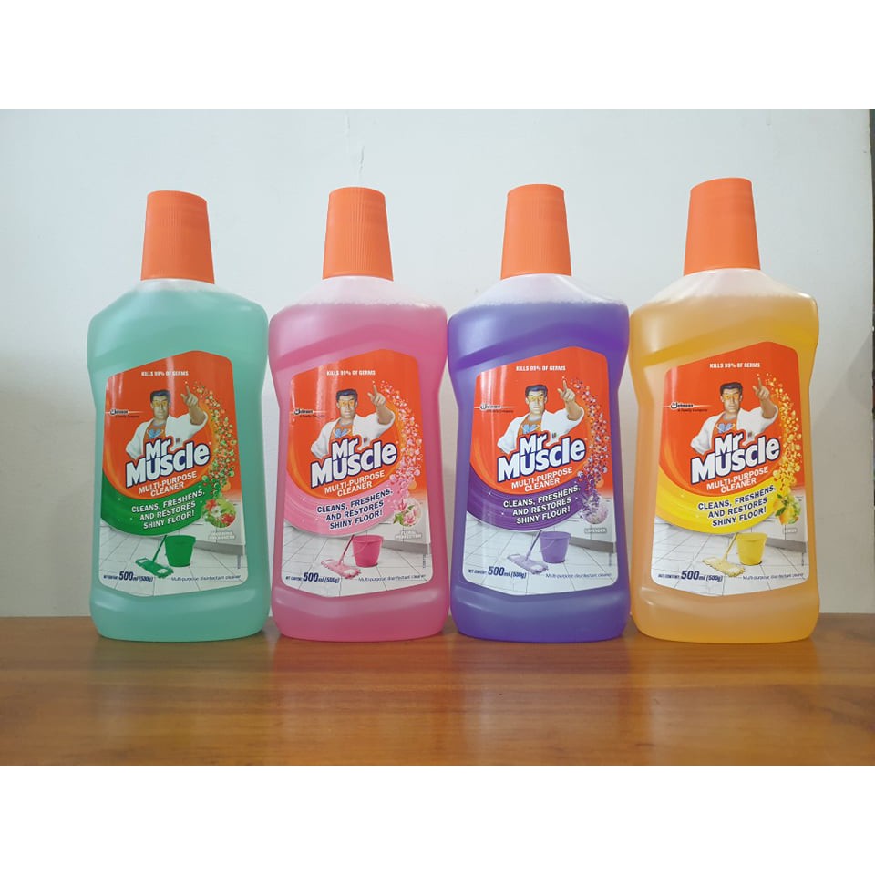 Mr. Muscle 500ml All Purpose Cleaner | Shopee Philippines