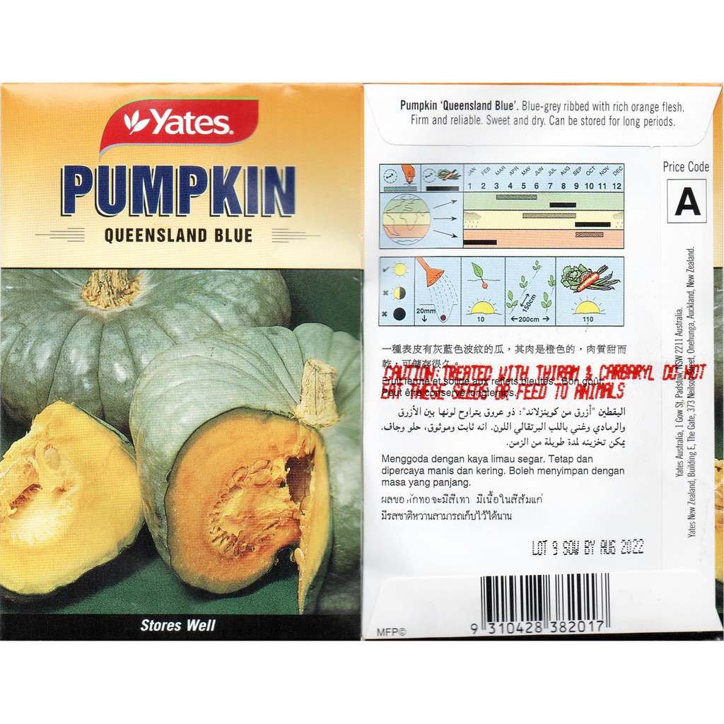 Yates YPV Seeds Pumpkin Queensland (ORIGINAL PACKAGING) GDSFPH_S4 ...