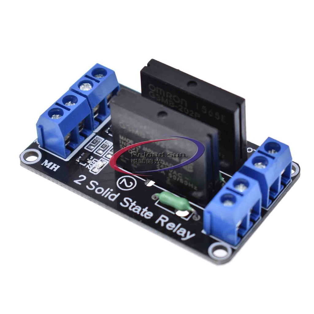 2 Channel 5V DC Relay Module Solid State Low Level | Shopee Philippines