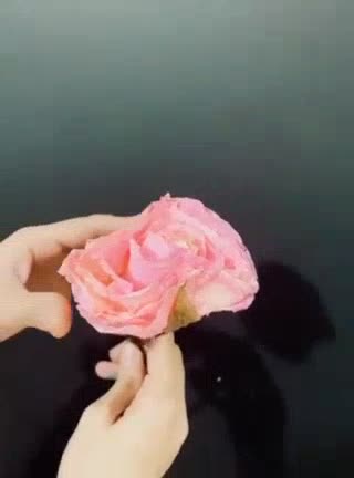 Fossilized Rose(1 stem only) | Shopee Philippines