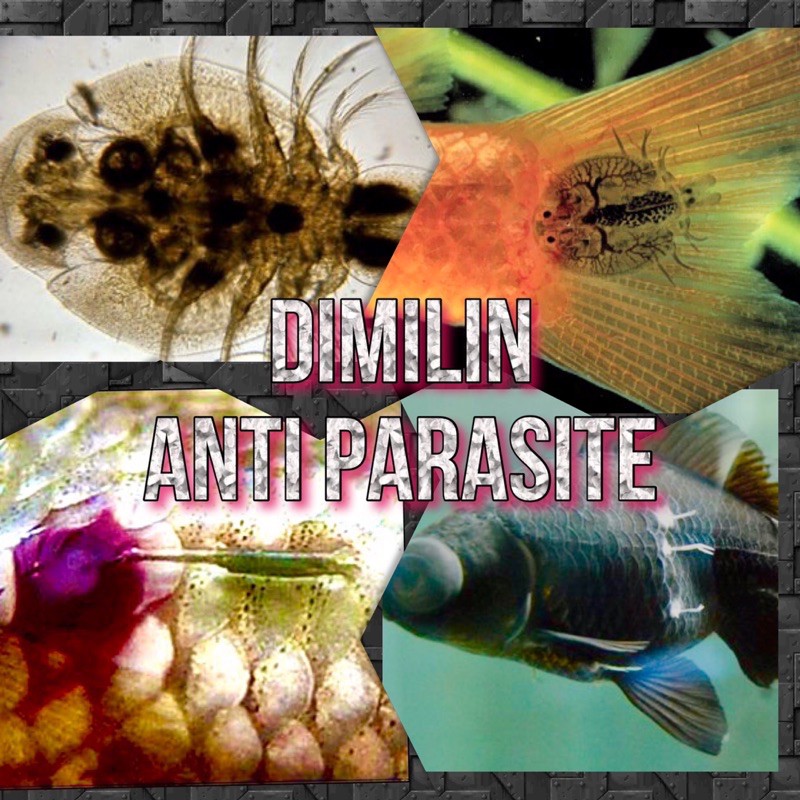 DIMILIN ANTI PARASITE 10g | Shopee Philippines