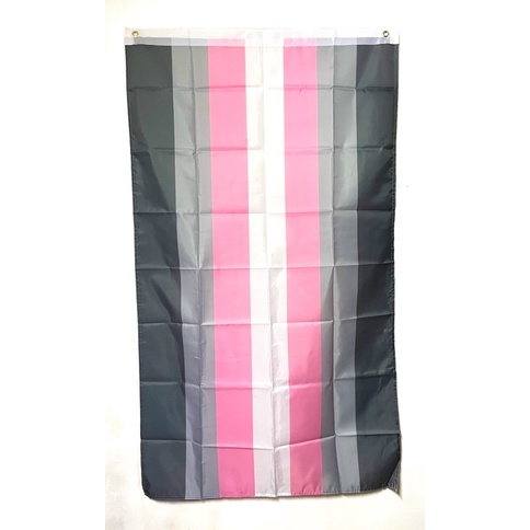 Demigirl Flag | Demigirl Pride Flag LGBT | LOCAL | Shopee Philippines