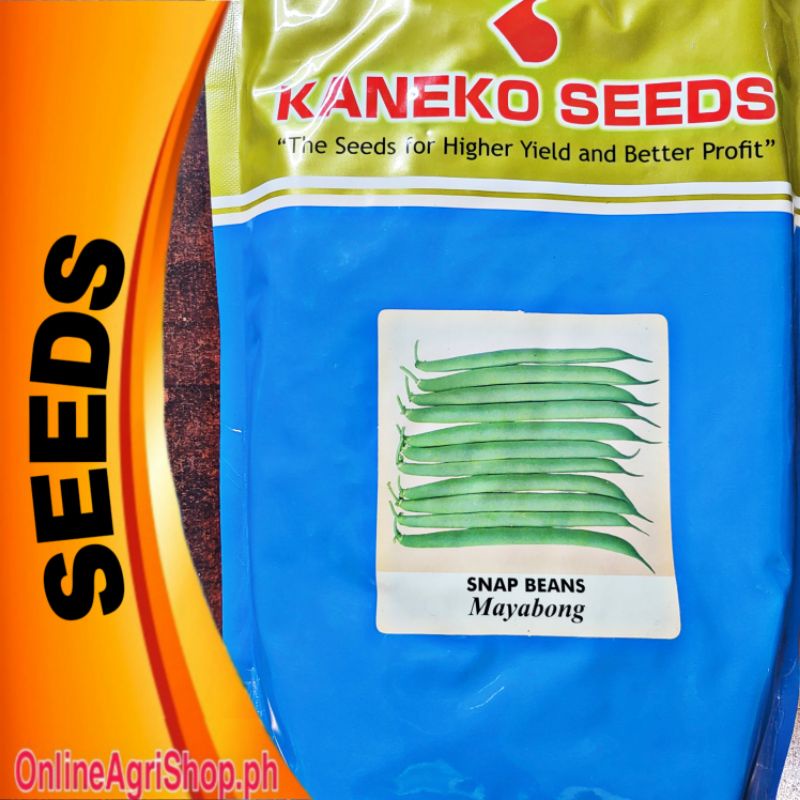 MAYABONG OPV SNAP BEANS(KILO)KANEKO SEEDS | Shopee Philippines