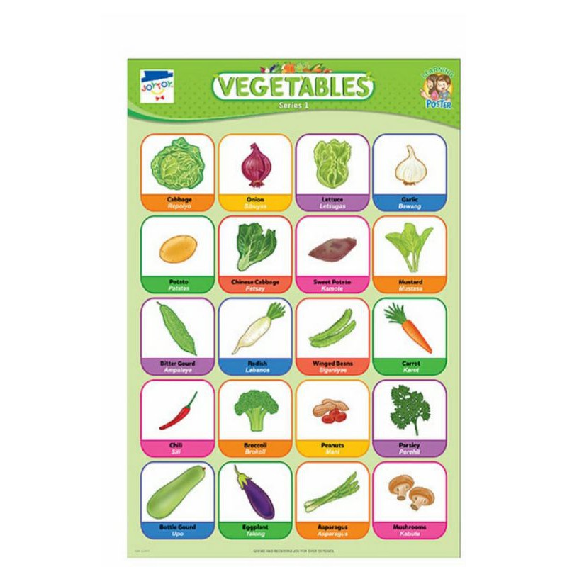 Joytoy Early Learning Posters 2,3,4(Min of 3 posters/order) | Shopee ...