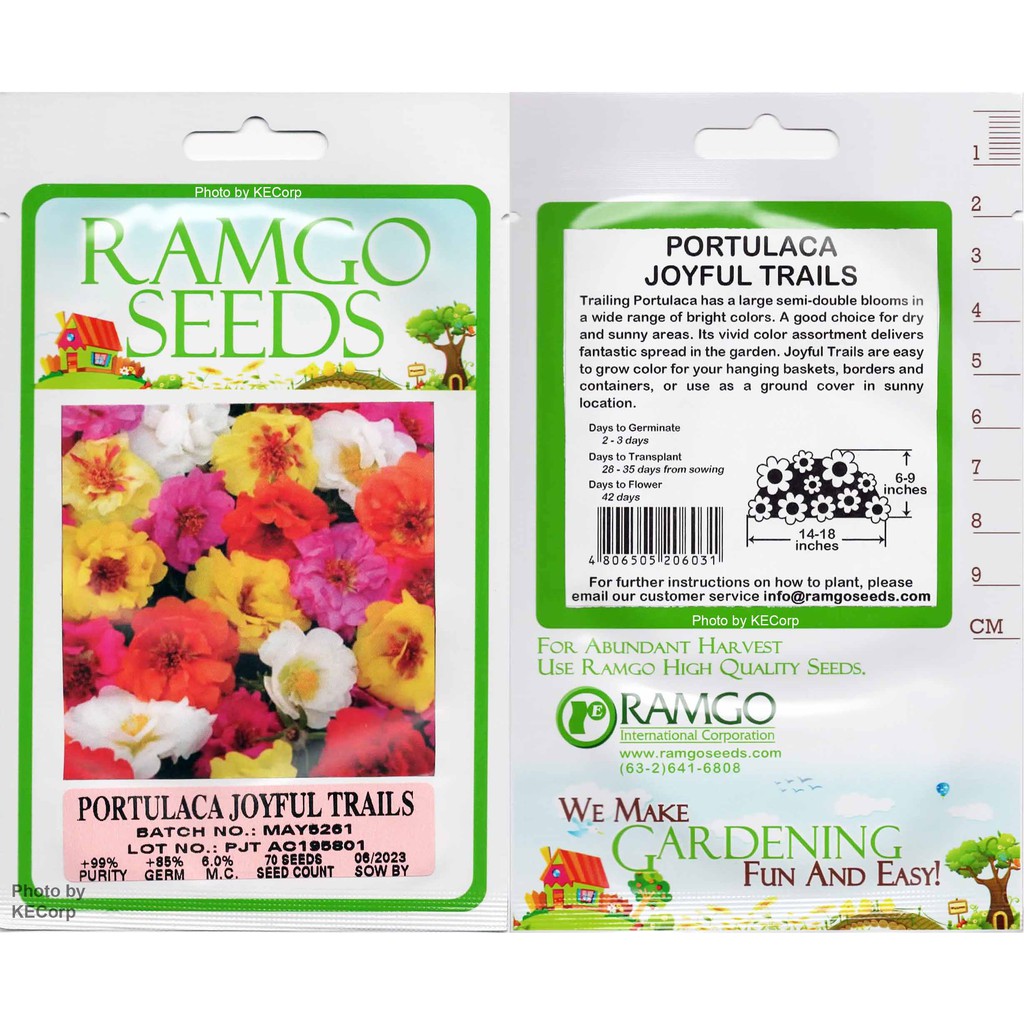 Ramgo Flower Seeds - Sold per Pack per Variety KECORP_S1 | Shopee ...