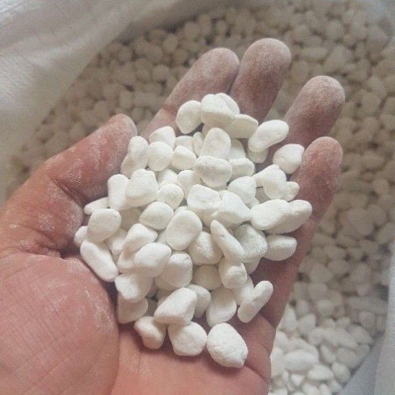 White marble stone/pebbles stone/aquarium stone(1kg) | Shopee Philippines