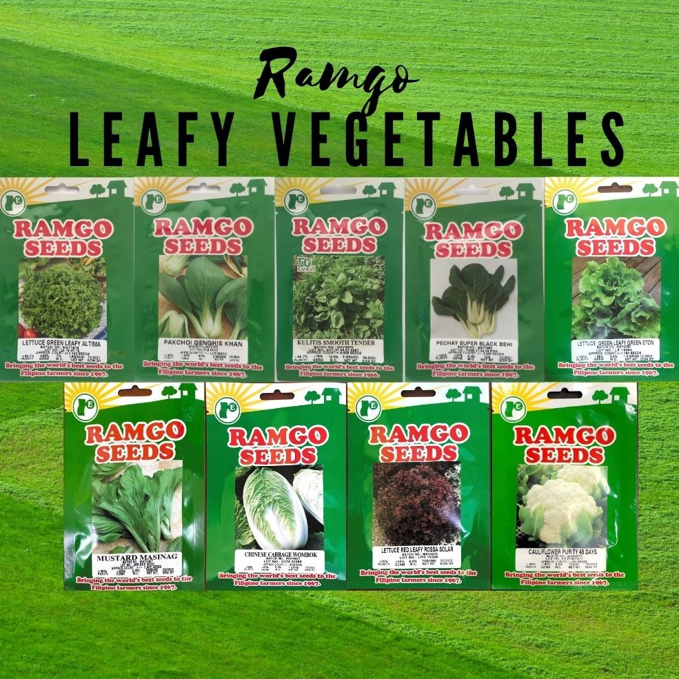 Ramgo LEAFY VEGETABLES (Lettuce, Pakchoi, Spinach, Pechay, Mustasa ...