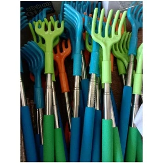 kamote - Best Prices and Online Promos - May 2024 | Shopee Philippines