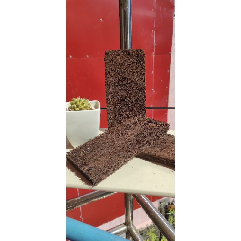 Fern Slab for Orchids and Plants | Shopee Philippines