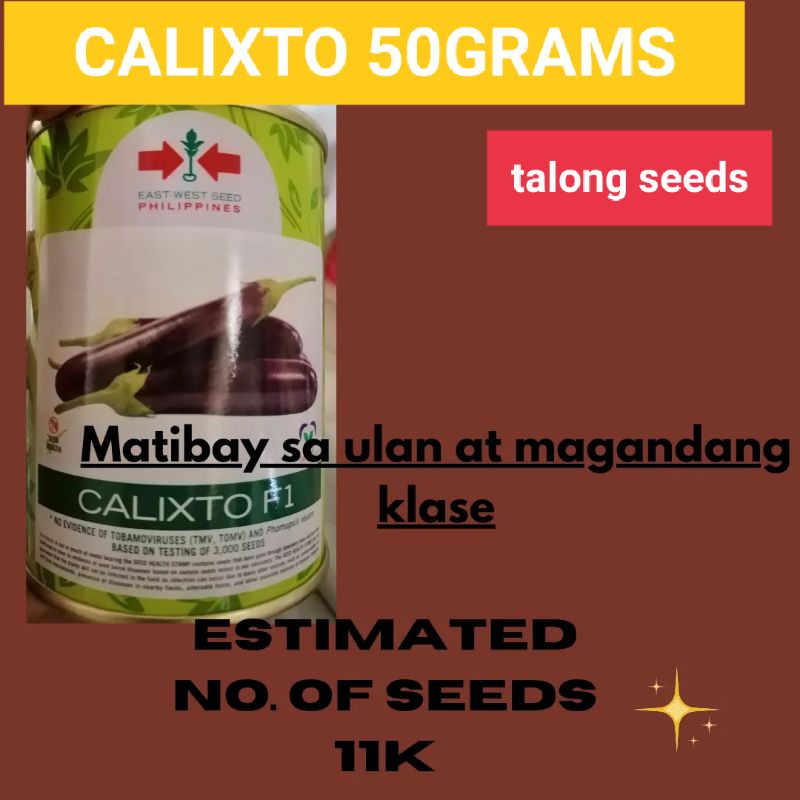 CALIXTO TALONG SEEDS (11K SEEDS) | Shopee Philippines