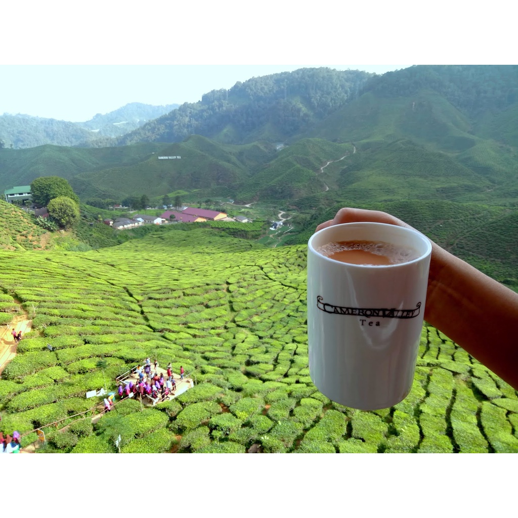 Cameron Valley Tea Leaf | Shopee Philippines