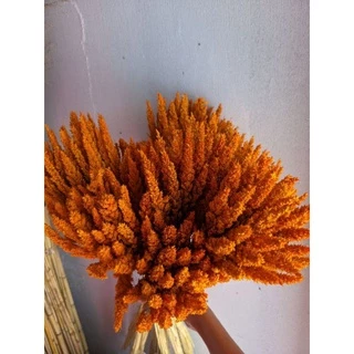 trigo - Best Prices and Online Promos - Apr 2025 | Shopee Philippines