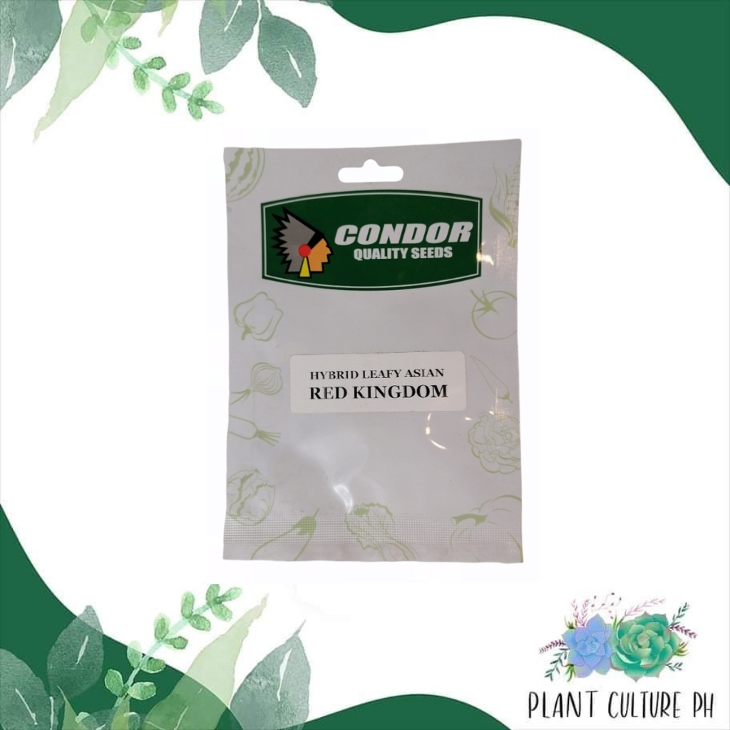 Condor Quality Seeds Hybrid Leafy Asian Red Kingdom F1 2G | Shopee ...