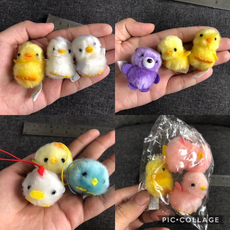 CHICK BUNDLE BABY BIRD BUNDLE CUTE BABY CHICKS | Shopee Philippines