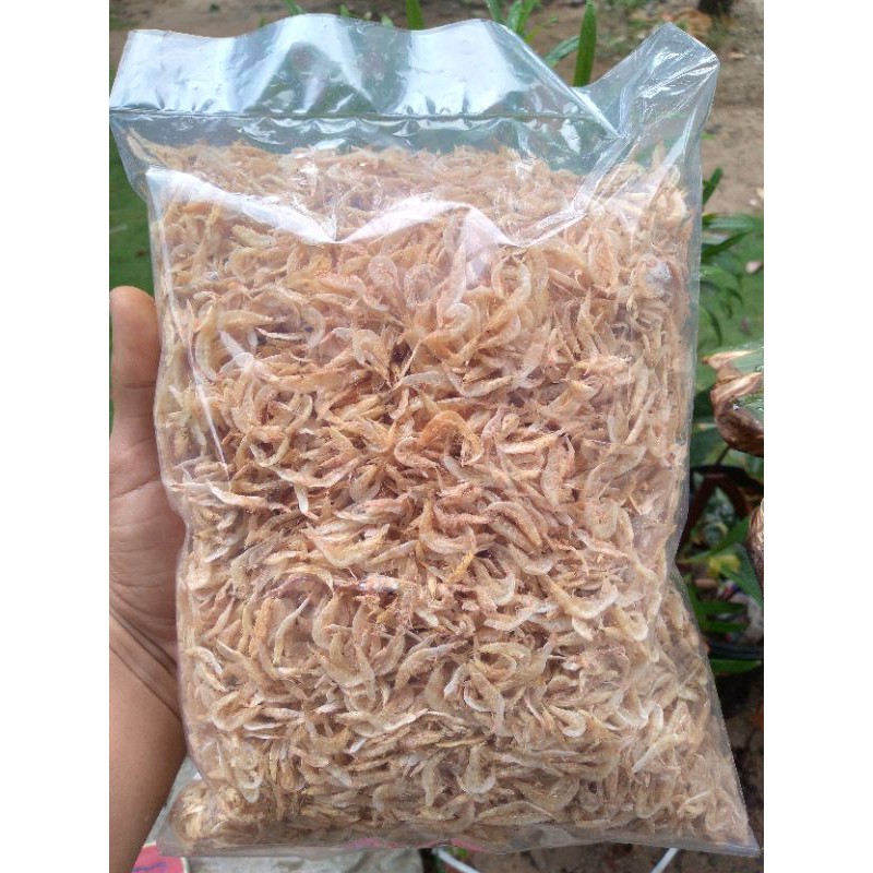 Fresh dried Rebon shrimp 250 grams | Shopee Philippines