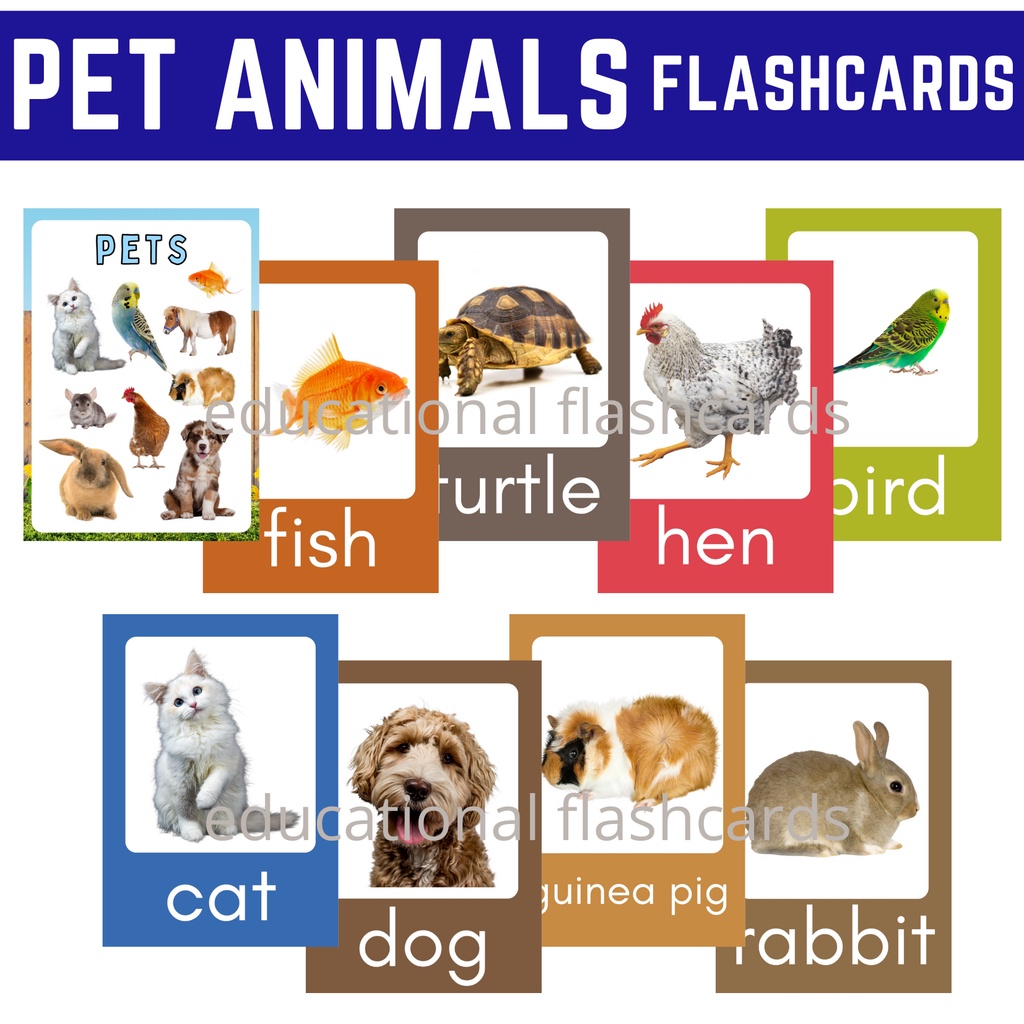 Pet Animals Flashcards, Educational Laminated Flashcards for kids ...