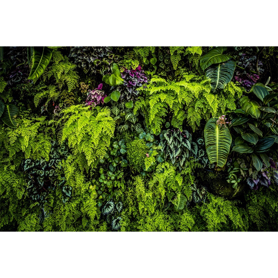 Tropical Leaves Flowers Wall Photography Backgrounds Party Photocall ...