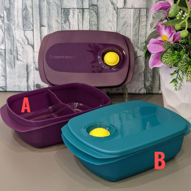Tupperware Reheatable Divided Lunch Box - 1 pcs | Shopee Philippines