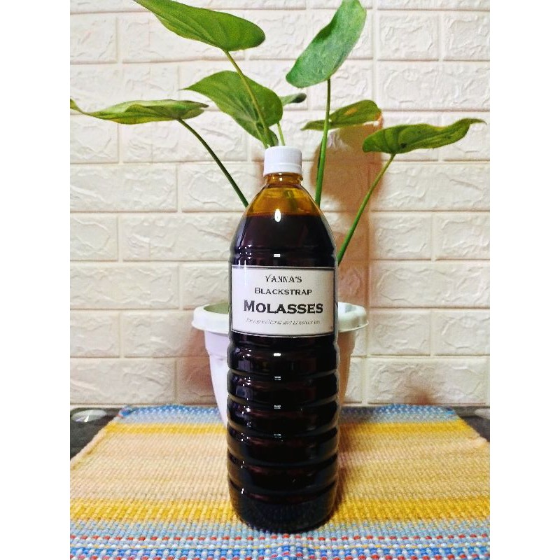 molasses - Best Prices and Online Promos - Apr 2026 | Shopee Philippines