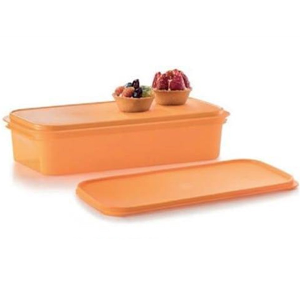 Tupperware Orange Level Shallow Carry All with 2 Seals & Cover 3.2L ...