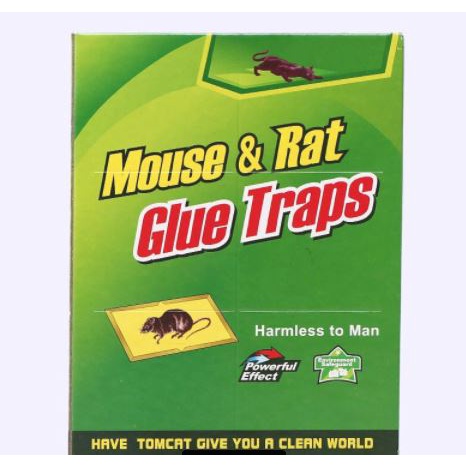 Pandikit sa daga Mouse Rat Glue Traps Home Living Home care supplies ...