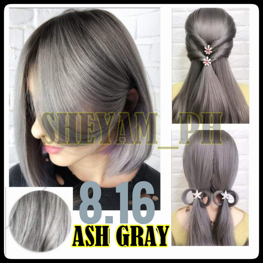 BREMOD 8.16 ASH GRAY HAIR COLOR - SET - WITH OXIDIZING/DEVELOPING CREAM ...