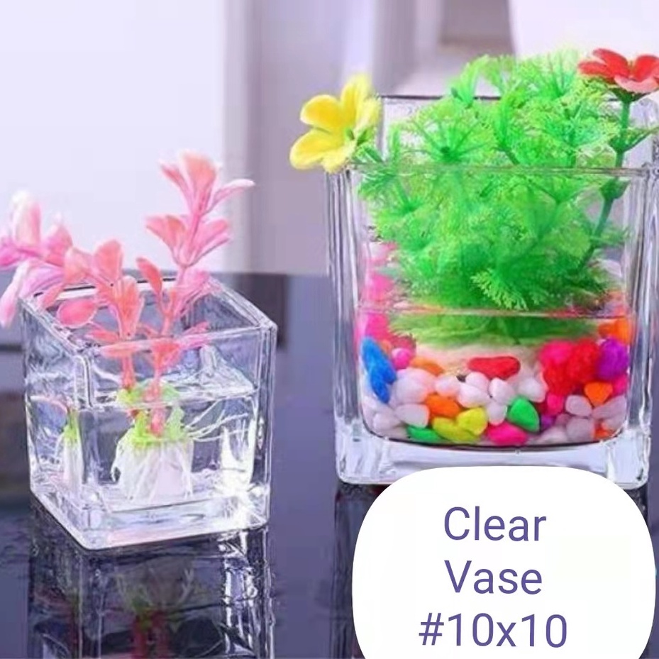 {10x10cm}/Clear Transparent Square Shape Flower Vase Perfect as a ...