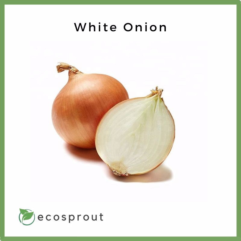 Fresh White Onion | From 250g | Fresh Vegetables | Fresh Fruits ...