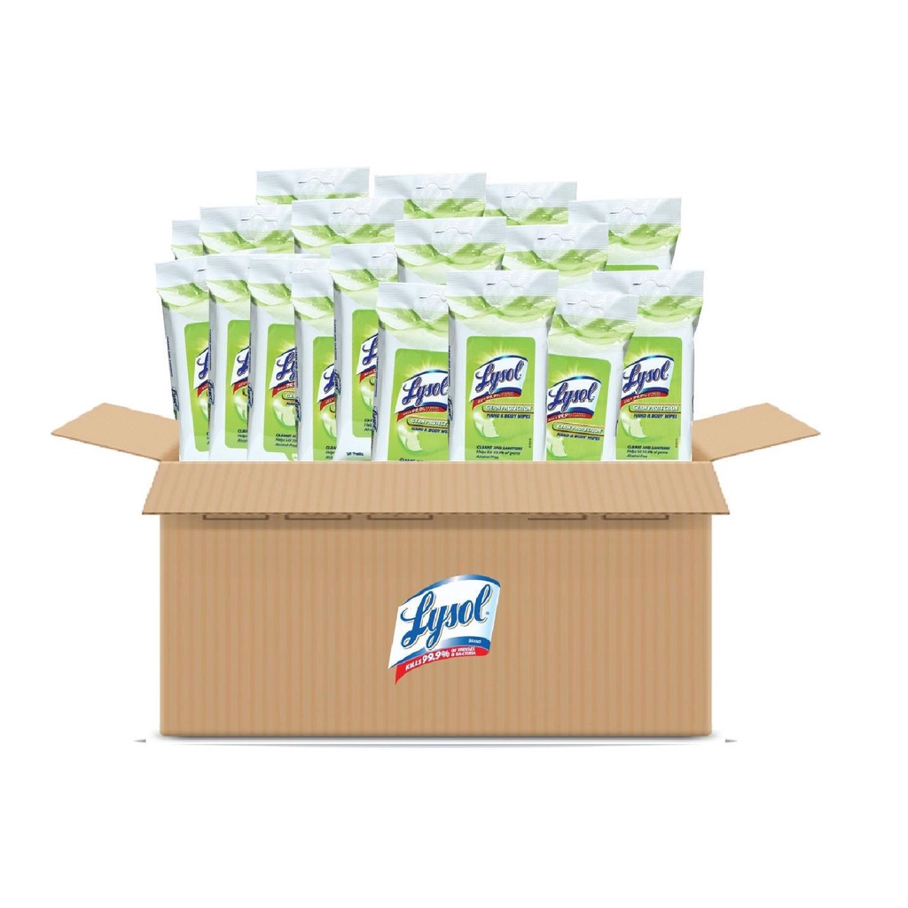 Lysol Germ Protection Hand Wipes Carton Deal 10 Pulls 40 Packs | Shopee ...