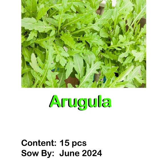 Herbs Seeds Sweet Basil Kintsay Celery Parsley Wansoy Chives Peppermint ...