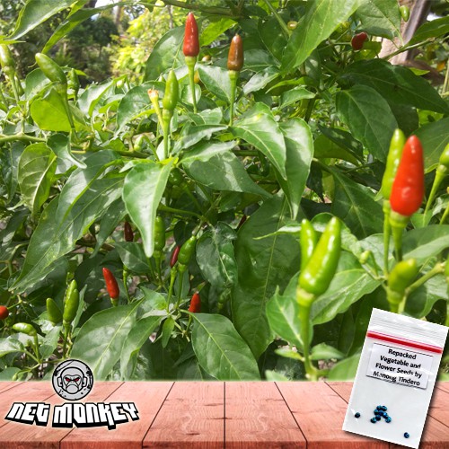 Siling Labuyo Native | Sili Kulikot Heirloom (15 Seeds) | Shopee ...