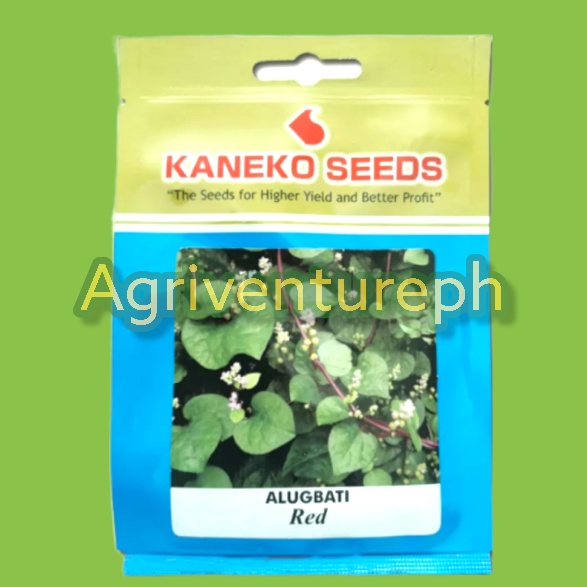ALUGBATI RED 188 SEEDS (KANEKO) | Shopee Philippines