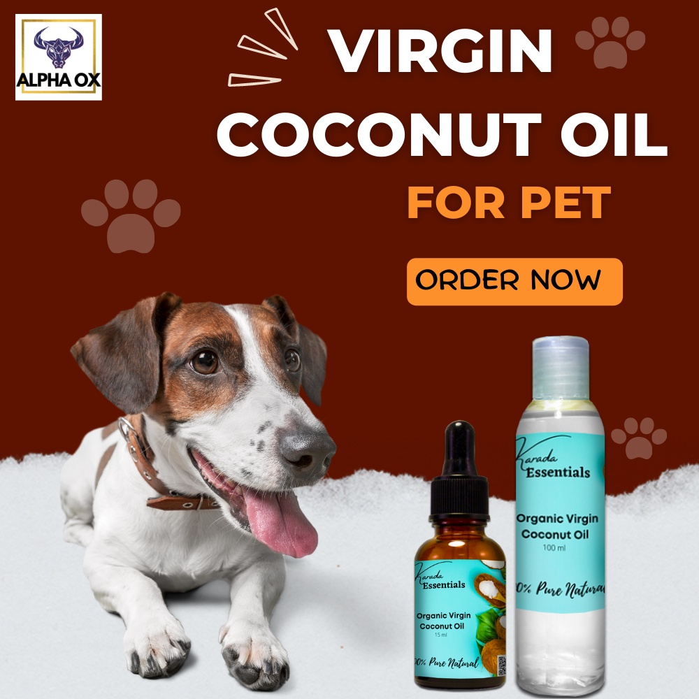 Organic Extra Virgin Coconut Oil (VCO) for dog and pets | Shopee ...