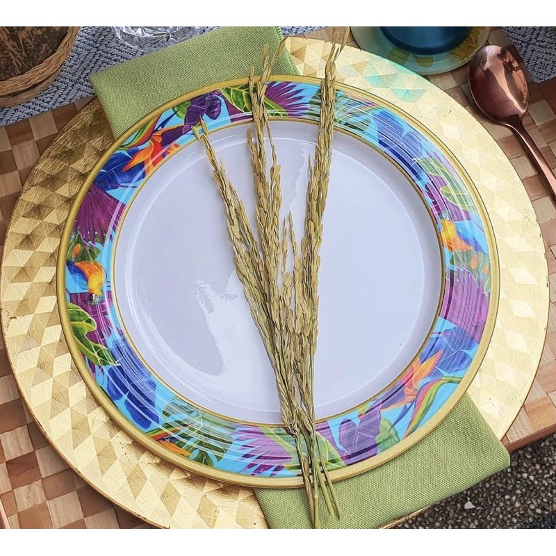 Tupperware Birds of Paradise Melamine Dinner Plates Set of 6pcs ...