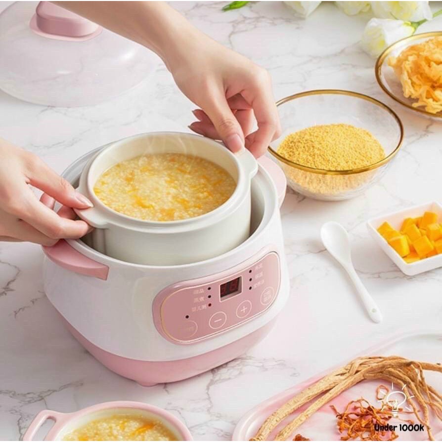 Multi-purpose stew pot, slow cooker porridge for babies, bird's nest ...