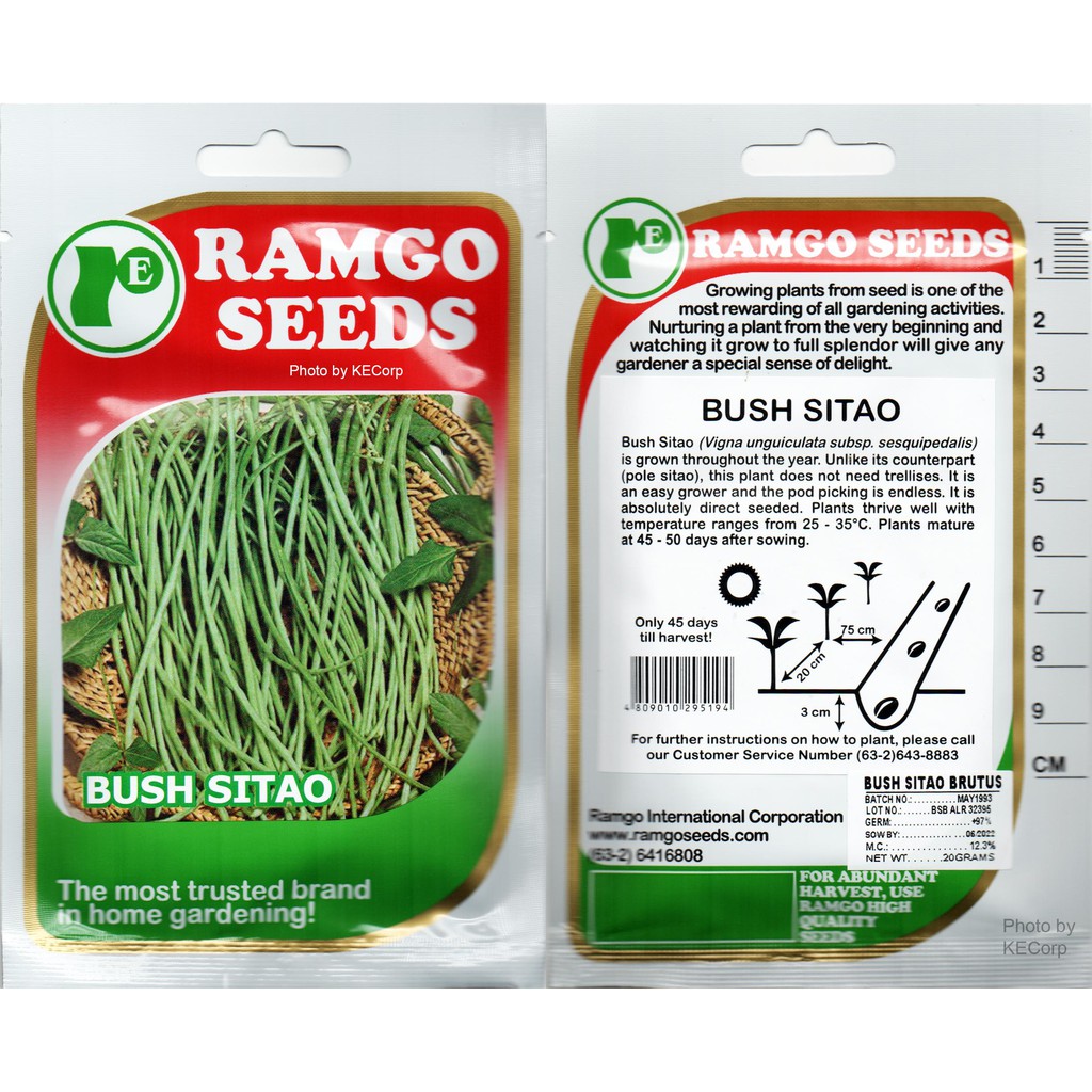 Ramgo Seeds Sold Per Pack Per Variety - Alugbati Cabbage Bunching Onion ...