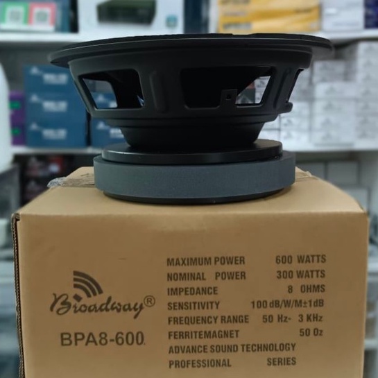 BROADWAY 8" 600WATTS BPA8- 600 INSTRUMENTAL Speaker | Shopee Philippines