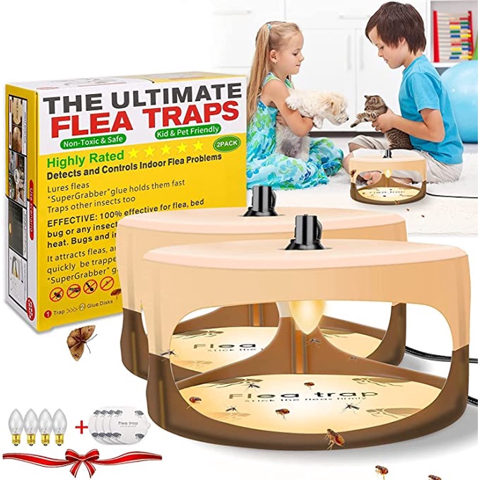 Flea Trap Inside Your Home with Light Sticky Dome Bed Bug Trap Insects ...