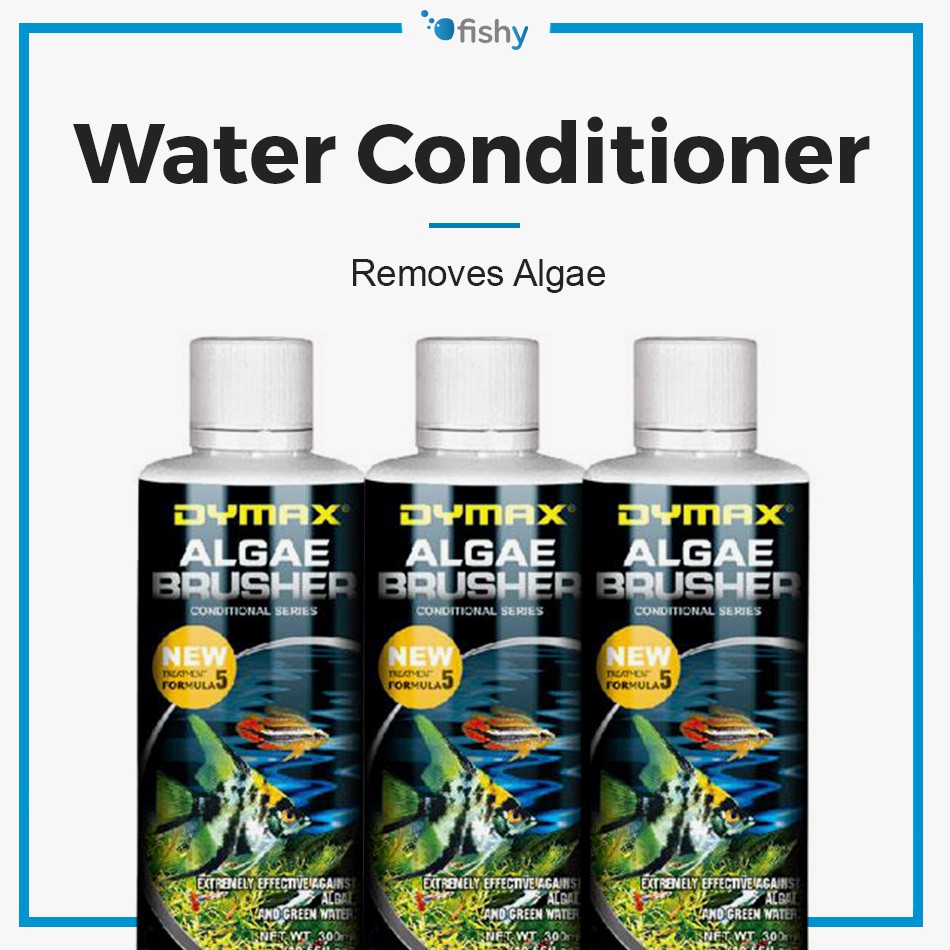 Dymax Algae Brusher | Conditional Series | Shopee Philippines