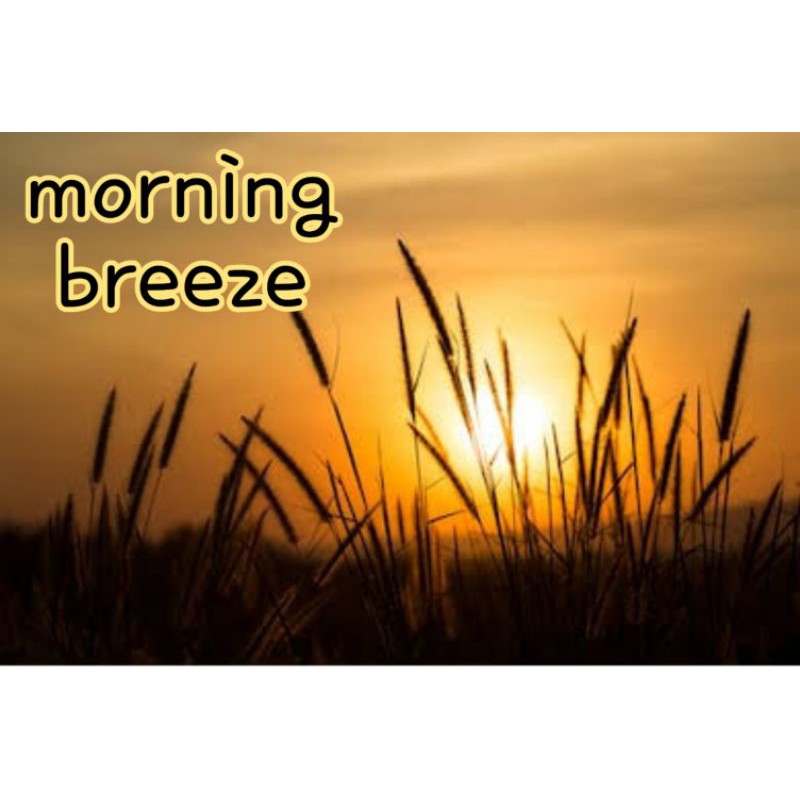 Morning Breeze Fragrance Oil (environmental) | Shopee Philippines