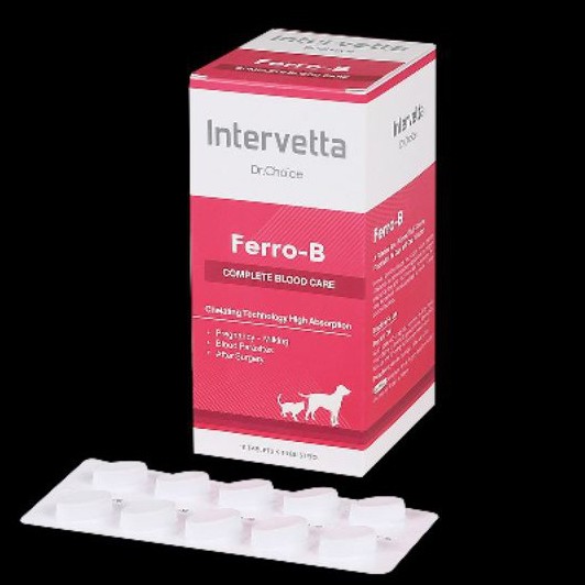 Dr.Choice Ferro-B Supplement For Iron Dogs And Cats | Shopee Philippines