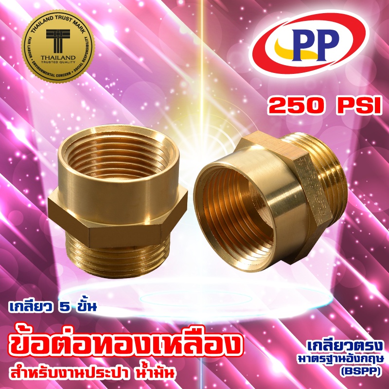 Brass Fitting Straight Connector P*M PP (PP) 5-Stage (Plumb/Oil ...