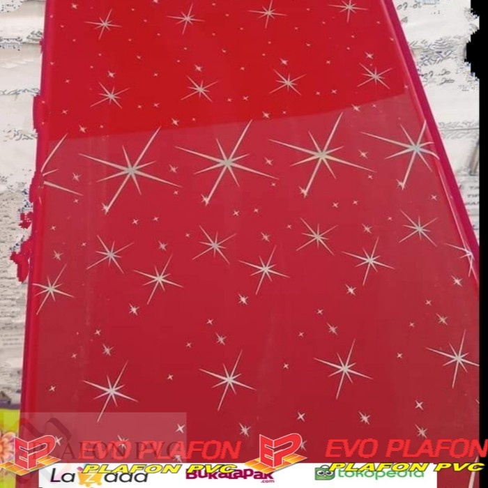 Pvc Ceiling | Star Pvc Ceiling | Star Pattern Pvc Ceiling | Pvc Ceiling ...