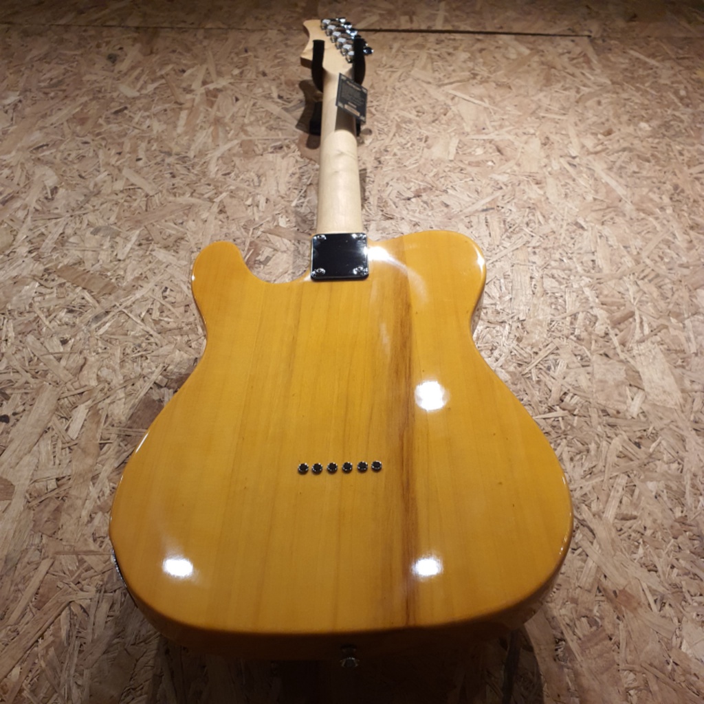 Sqoe Telecaster Thinline Electric Guitar Stratocaster TL Wings Wings ...