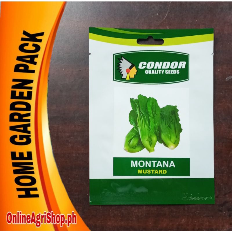 MONTANA MUSTARD SEEDS OR MUSTASA 5 GRAMS (CONDOR SEEDS) | Shopee ...