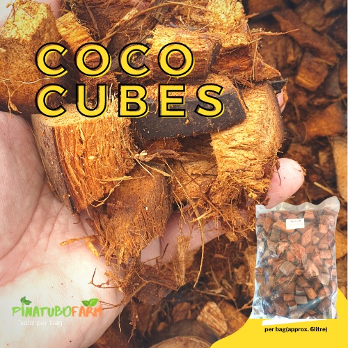 PinaTUBO Farm Coco Cubes for Plants Indoor Outdoor Garden | Shopee ...
