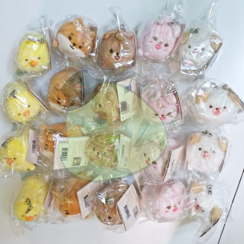 DAY6 Petit Denimalz 2021 | Shopee Philippines