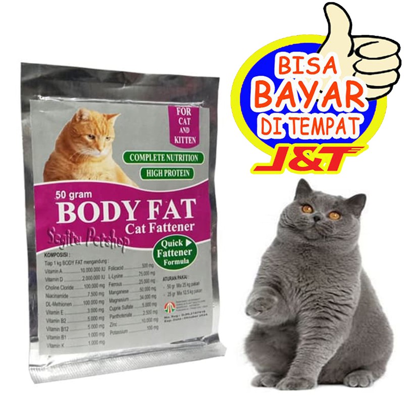 Bodyfat VITAMIN Skinny Cat Fattening Weight Gain KITTEN BODY FAT ...