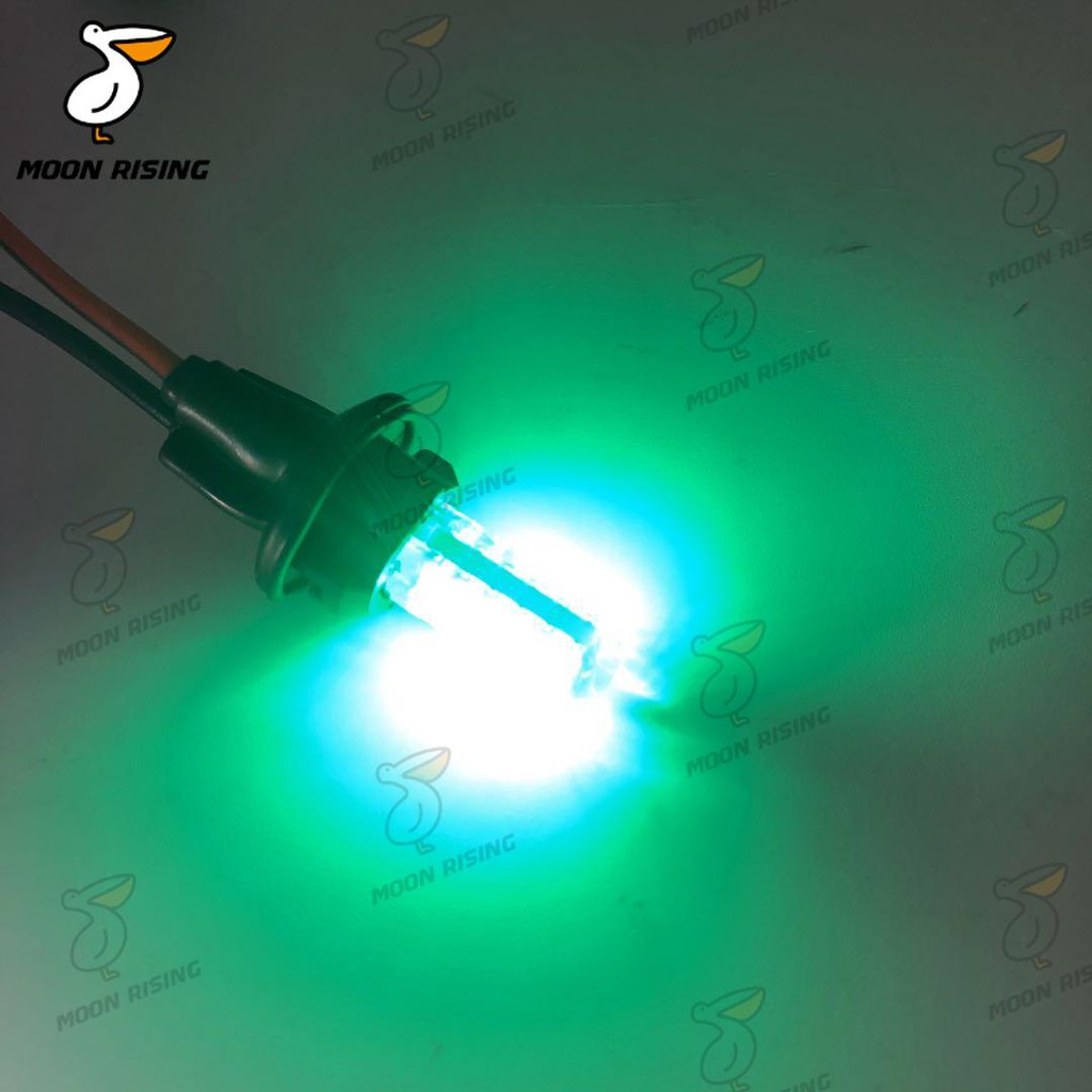 2 PCS T10 PARK LIGHT 24 LED PEANUT BULB 5W JELLY 2029 [MOON RISING ...