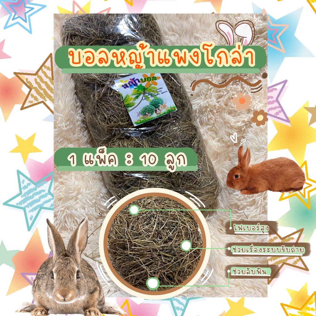 Pangola Grass Ball 1 Pack: 10 Balls Suitable For Rodents Rabbits Gatsby ...